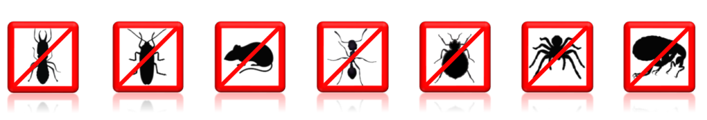 Pest Control Pretoria, Johannesburg, Centurion, Gauteng South Africa.